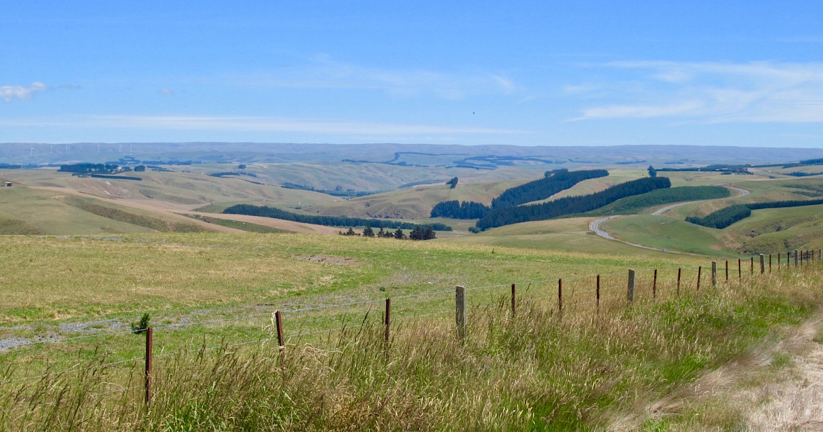 Tag 51 Dunedin - Middlemarch